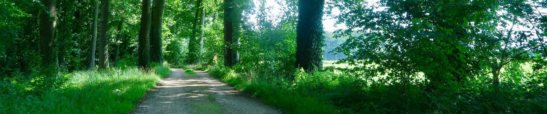 Zwerven door de Peel | 26 en 27 augustus 2023