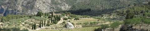 [privé initiatief] Zuid-Spanje rugzaktrekking 30 maart t/m 5 april 2025 ...